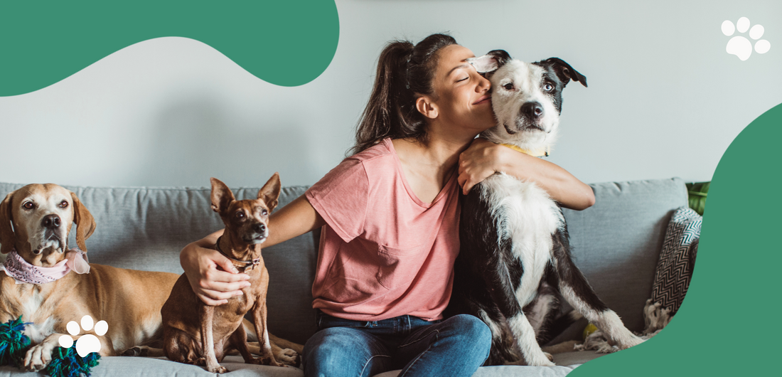 Iconic Pet - Pet Supplies, Dog & Cat products – Iconic Pet, LLC